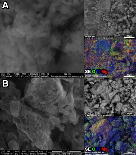 Sem Micrographs Magnification 500 000× And Sem Eds Elemental Maps