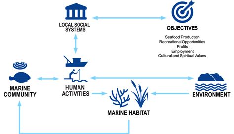 Fisheries Management