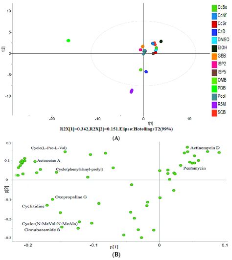 Pca Evaluation Of Metabolome Data Of S Murinus Thv12 A Score Plot Download Scientific