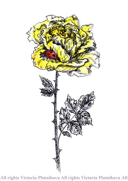 Ukrainian Artist Victoria Plotnikova Official Website