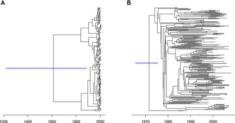 Dating Of Streptococcus Pneumoniae Pmen1 Before And After Correcting Download Scientific