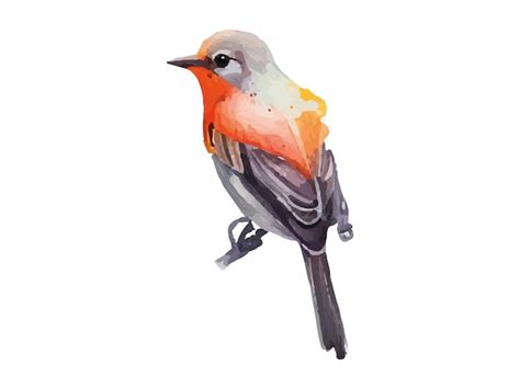 Premium Vector Watercolor Bird And Sparrow Vector Illustration
