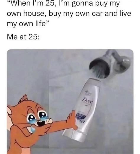 Introverts Memes On Twitter 🆘 61zgehnf6a Twitter