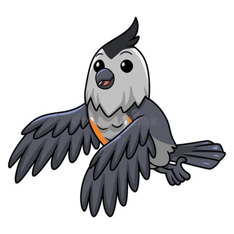 Cute Black Crested Titmouse Stock Illustrations 25 Cute Black Crested