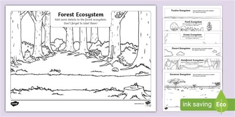 Draw The Ecosystems Pack Teacher Made Twinkl Worksheets Library