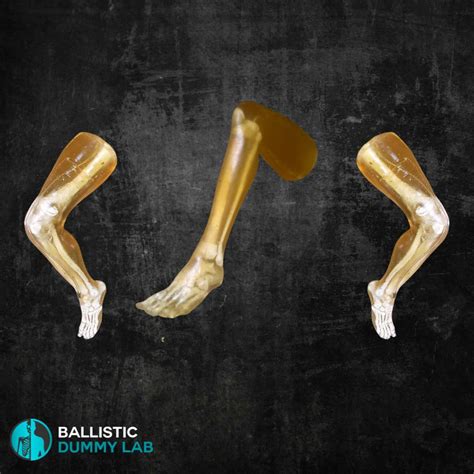 Body Parts Ballistic Dummy Lab