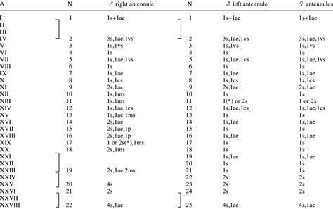 Segmentation Pattern And Armature Of Antennules In The Genus