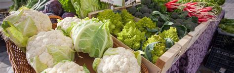 La Agricultura Del Futuro Necesita Políticas De Innovación Inncontext