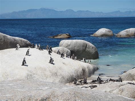 Marine Protected Areas And Tourism In South Africa South Africa News Hub