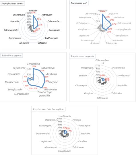 Multidrug Resistant Organisms Examples At Nicholas Packard Blog