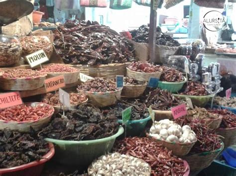 El Turismo Gastronómico El Turismo Gastronómico En Nuestros Días