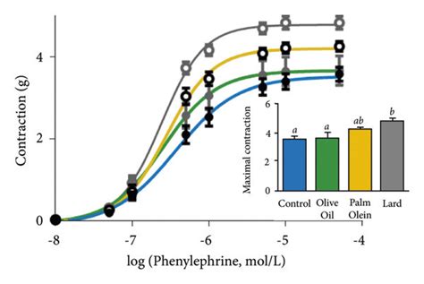 Contractile Responses Of Rat Aorta Graphs Represent Cumulative Download Scientific Diagram