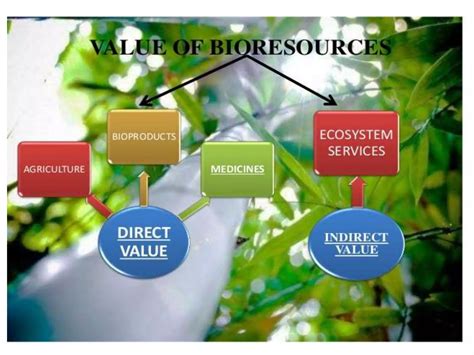 Bioresources And Uses Of Biodiversity Pptx