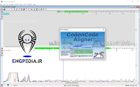 نرم افزار CodonCode Aligner تحلیل توالیهای ژنتیکی DNA و RNA Engpedia