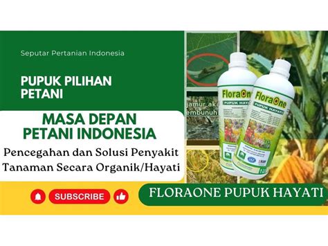 Pupuk Trichoderma Siap Kirim Seluruh Indonesia Di Padang Tribun Jualbeli