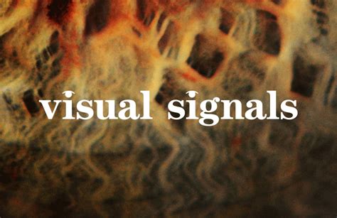 Visual Signals Logo The Joneses Brand And Design Consultancy