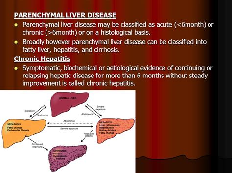 Parenchymal Liver Disease Liver Parenchymal Disorders Radiology Key
