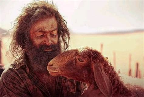 Aadujeevitham The Goat Life Box Office Collection Day 8 Prithviraj