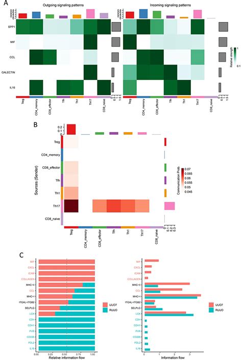 Cell Cell Communications By Single Cell Rna In Ckd Jir