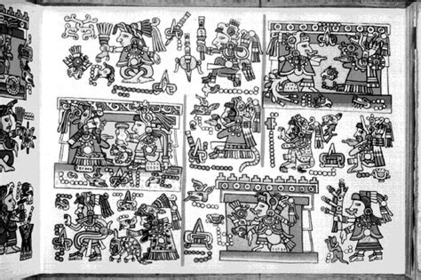 Esta Era La Bebida Afrodisiaca Que Moctezuma Ofreció A Hernán Cortés En