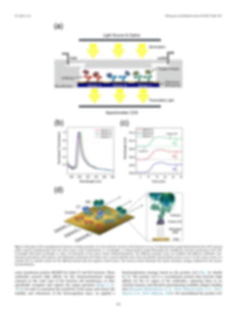 Solution Multiplexed Nanoplasmonic Biosensor For One Step Simultaneous Detection Of Chlamydia