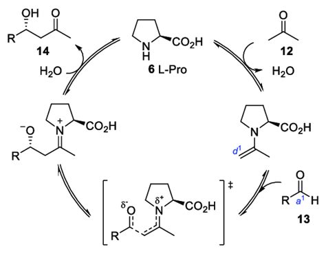 Simplified Catalytic Cycle For The Intermolecular Aldol Reaction Using