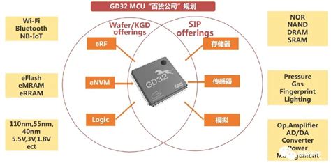Risc V指令集架构介绍及国内外厂商介绍 Csdn博客