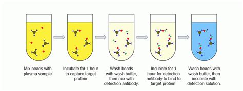 Neobi™ — High Sensitivity Nanoparticle Enhanced On Bead Elisa