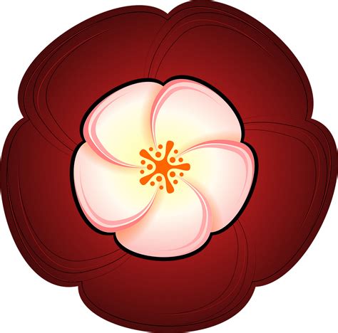 Kukka Punainen Vakiotyyppi Ilmainen Kuva Pixabayssa Pixabay