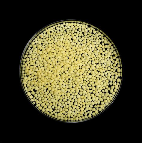 Granules Boronated Calcium Nitrate Granule Bags 50kg At ₹ 250kg In Bharuch