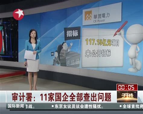 审计署公布11家国企审计结果全部查出问题 搜狐视频