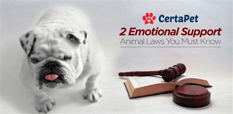 2 Ironclad Emotional Support Animal Laws Must Read