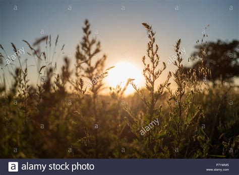 42 Sunlit Backgrounds Wallpapersafari