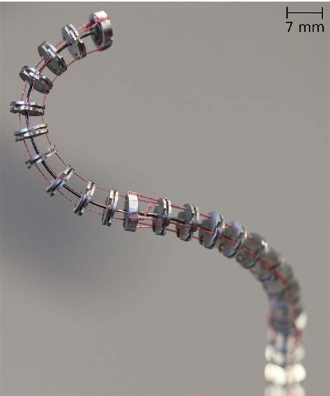 Figure 3 From Tendon Driven Continuum Robots With Extensible Sections—a