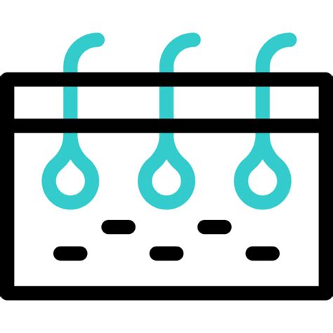 Skin Basic Accent Outline Icon