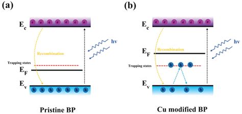 The Energy Diagram Of Carrier Recombination And Trapping Kinetics Of A