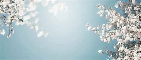 宜城明日晴好，最高气温或升至两位数！节气雨水春笋
