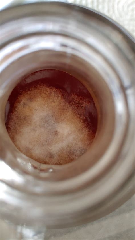 Is This Mold Or A Pellicle Rmead