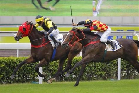連續3季交白卷 韋達胯下3捷馬退役