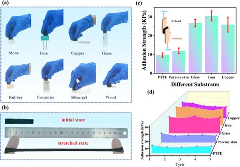 Adhesion Ability Of The Paastarchmxene Organohydrogel A Adhesive Download Scientific
