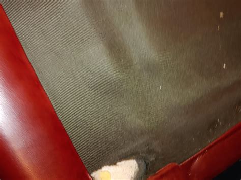 Are These Bed Bug Eggs Found Under A Couch In My Hotel Roomm Rbedbugs