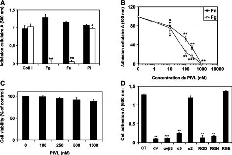 pivl inhibits vascular endothelial cell adhesion through α v β 3 and α