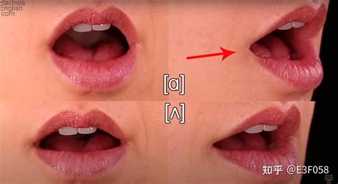笔记 美式英语音标·元音对比 知乎