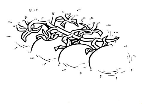 Tomato Color Page Free Printable Coloring Pages