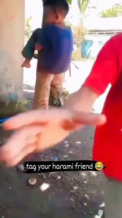 Tag Your Harami Friends😂🤣 Tag Your Harami Friends Please Like