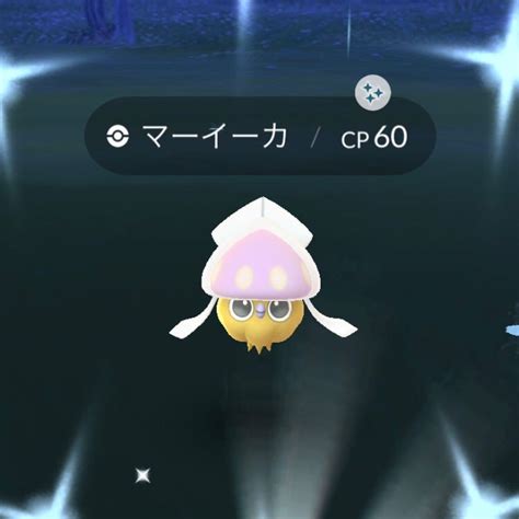 最近のイロチ 毎日ポケ活