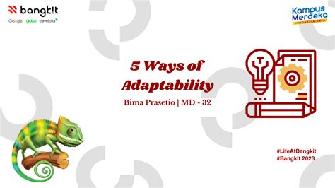 5 Ways Of Adaptability