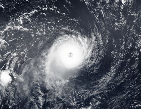 Tropical Cyclone Programme Tcp
