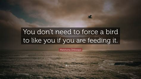 Matshona Dhliwayo Quote You Dont Need To Force A Bird To Like You If