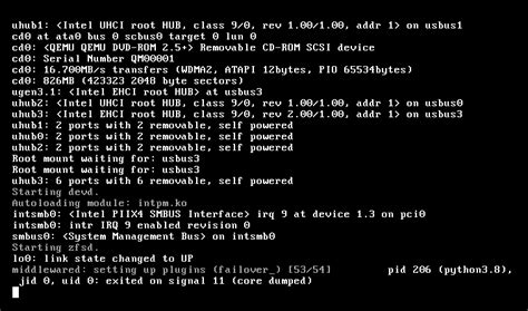 Middlewared Setting Up Plugins Failover Python 38 Exited Signal 11
